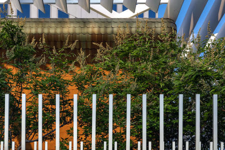 Charles Davis Smith - FAIA | Photographer