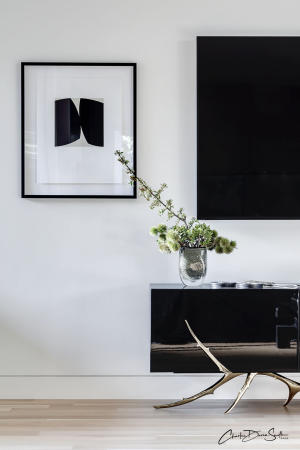 Charles Davis Smith - FAIA | Photographer